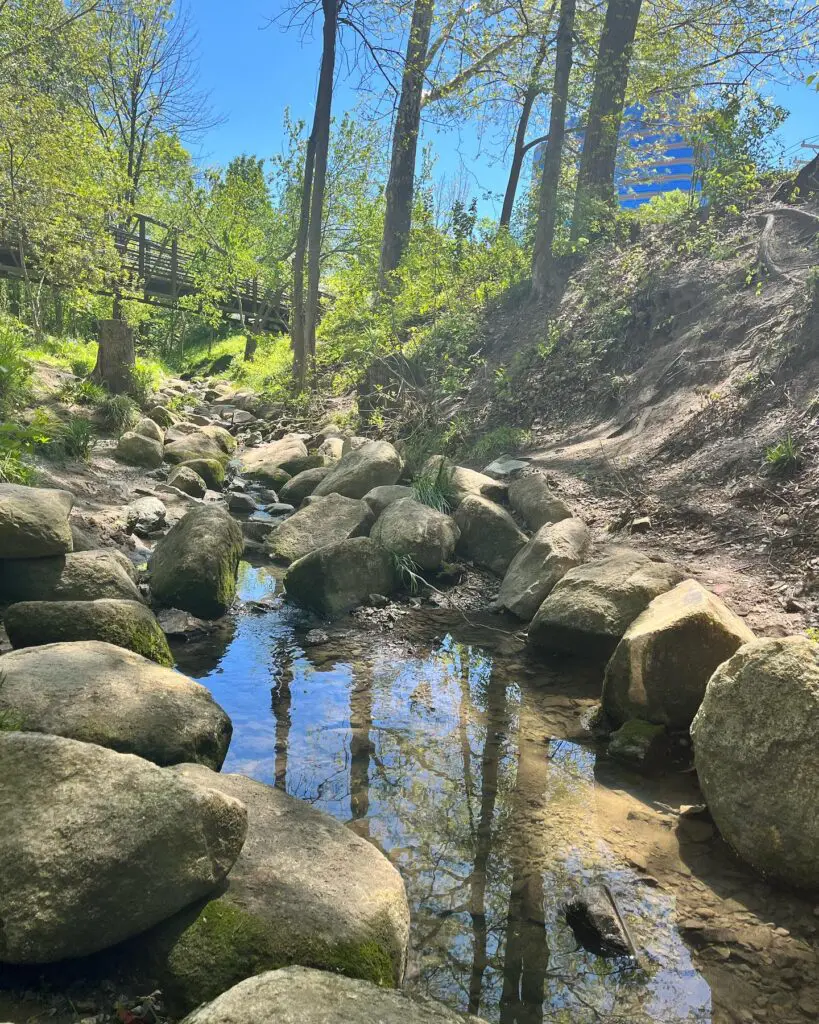 Durham Central Park - Downtown Durham Inc